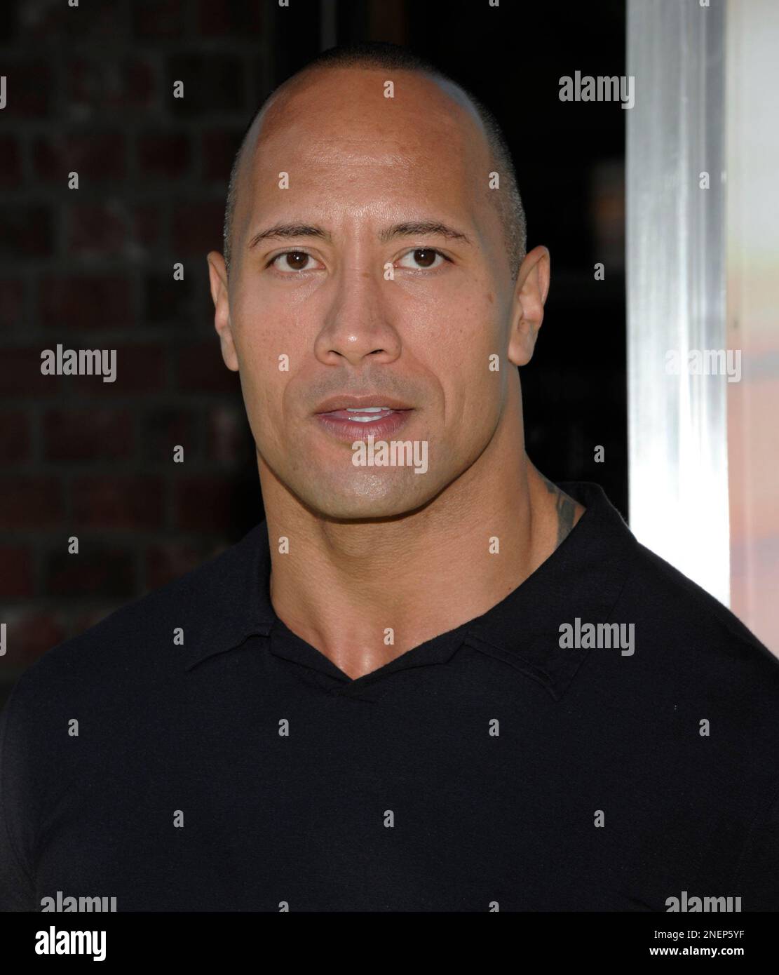 Actor Dwayne Johnson arrives at the premiere of the animated feature ...