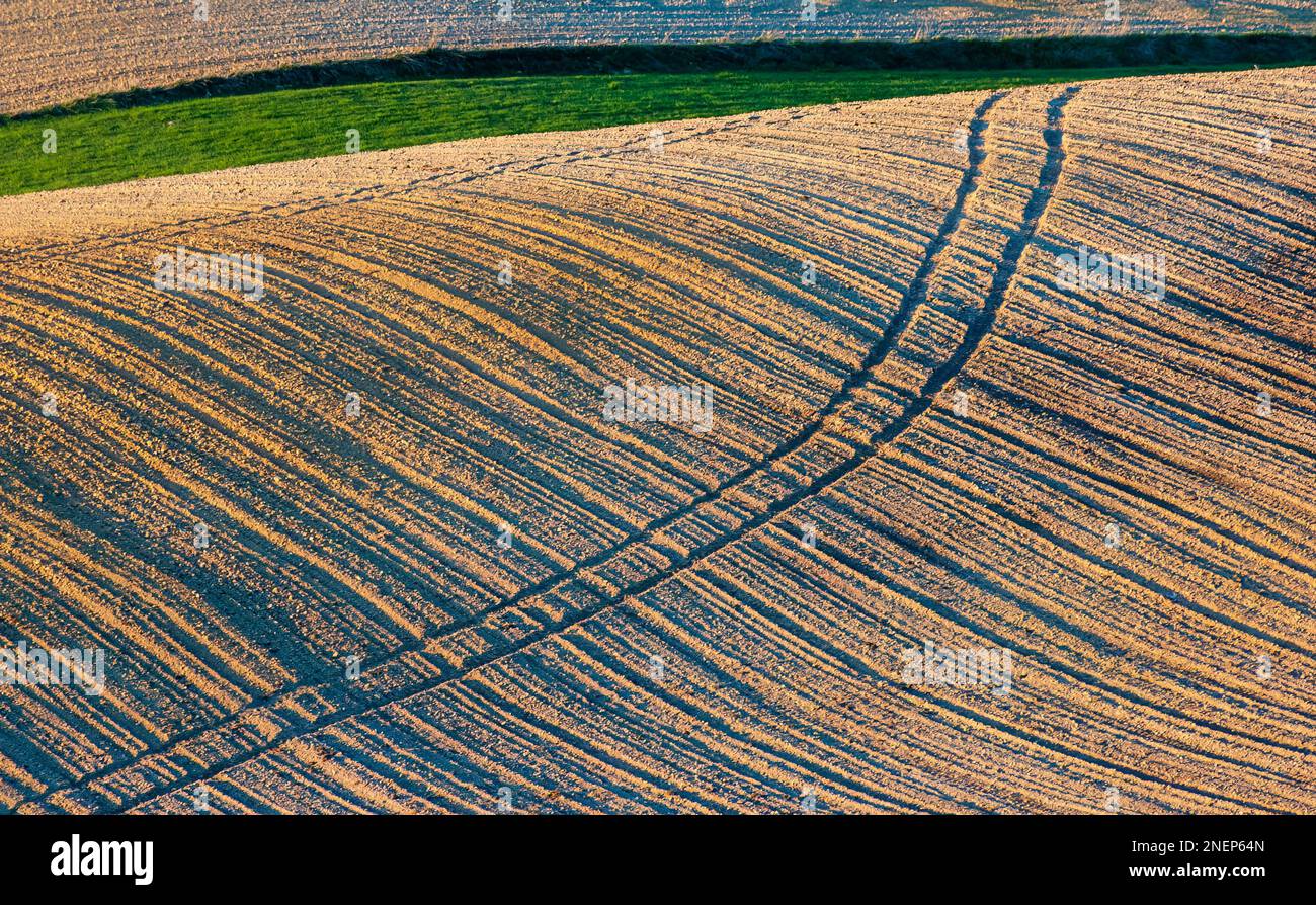 Plowed fields. Ranges of fields intersected by numerous borders. Low ...