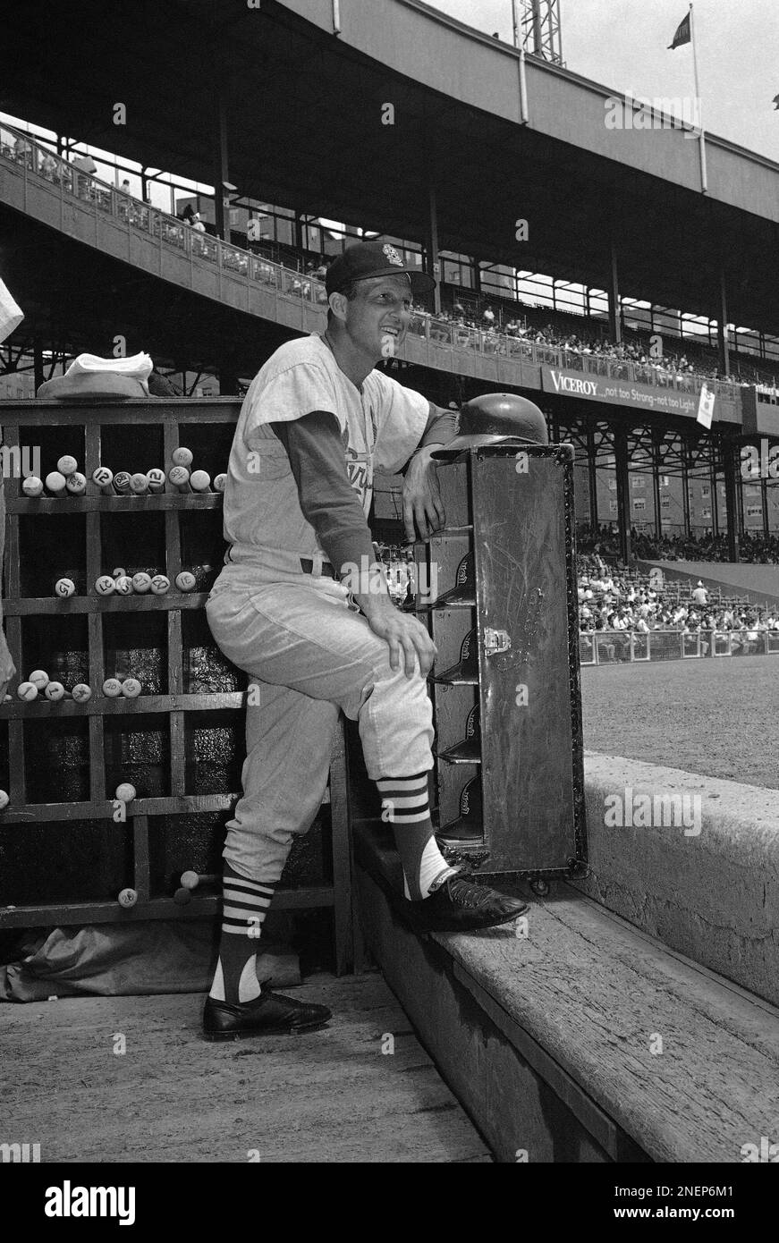 Stan Musial of the St. Louis Cardinals looks over New York?s Polo ...