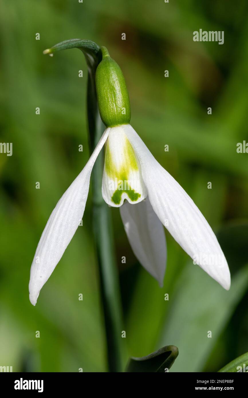 Fieldgate produce hi-res stock photography and images - Alamy