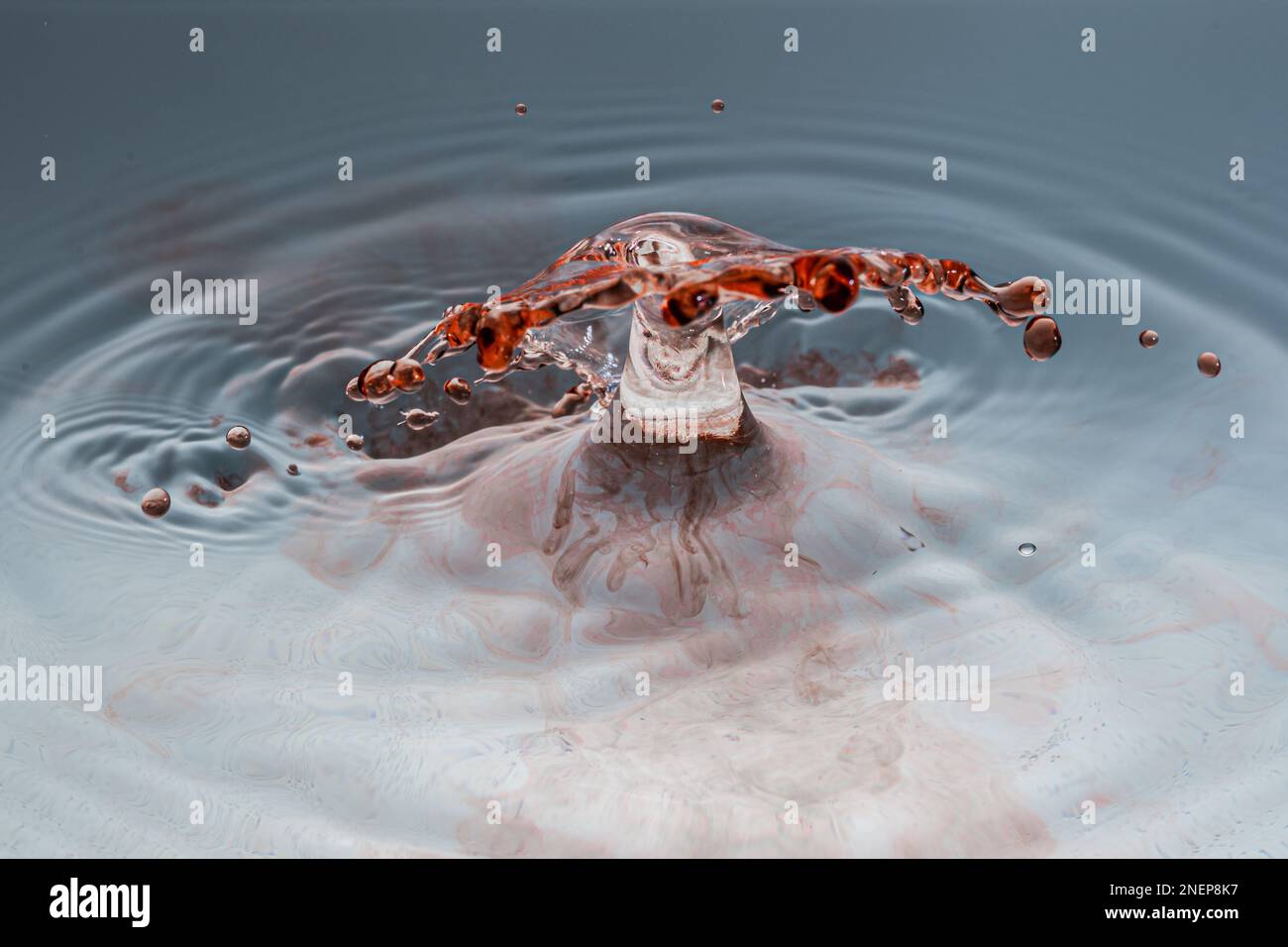 Macro photography water drops photographed with Pluto trigger Stock ...