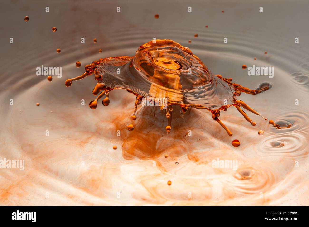 Macro photography water drops photographed with Pluto trigger Stock ...