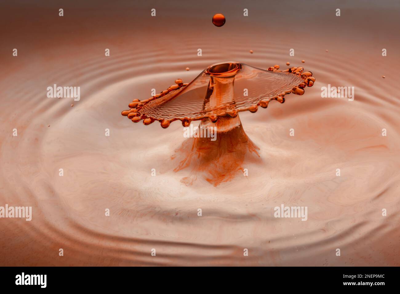 Macro photography water drops photographed with Pluto trigger Stock ...