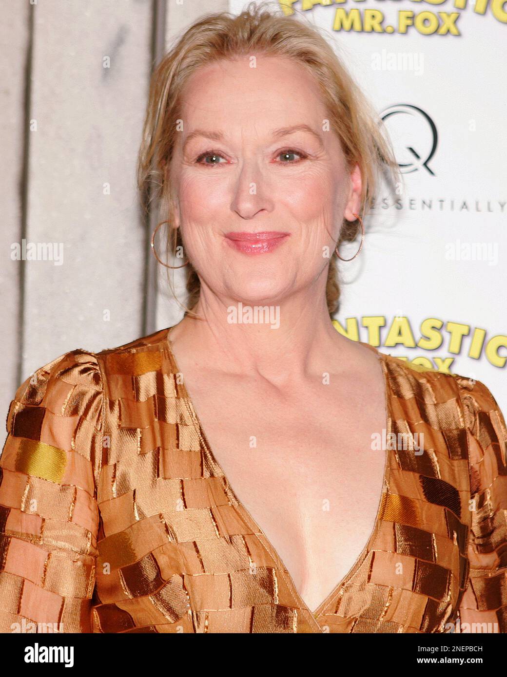 Actress Meryl Streep arrives for the premiere of "Fantastic Mr. Fox" in ...