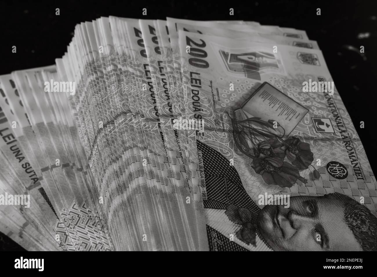Stack of LEI Romanian money. RON Leu Money European Currency Stock ...