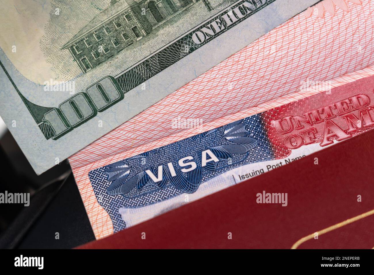 Passport Cover Background