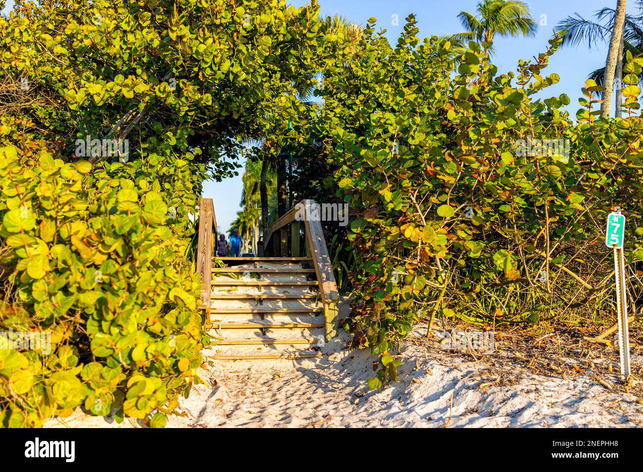 Naples, USA Florida gulf of mexico coast with beach access steps on ...