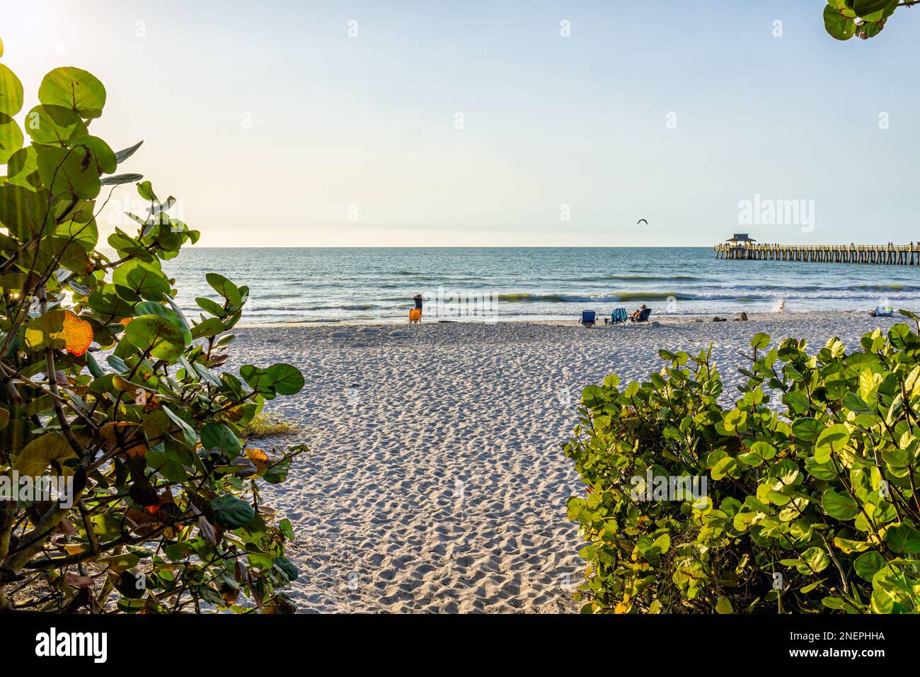 Old town Naples, Florida with famous fishing pier at sunset in gulf of ...