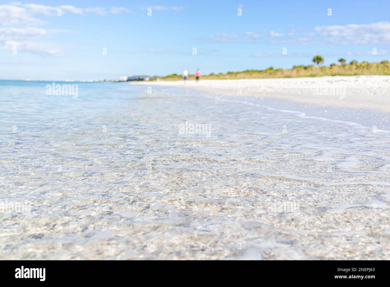 Gulf Of Florida Barefoot Beach