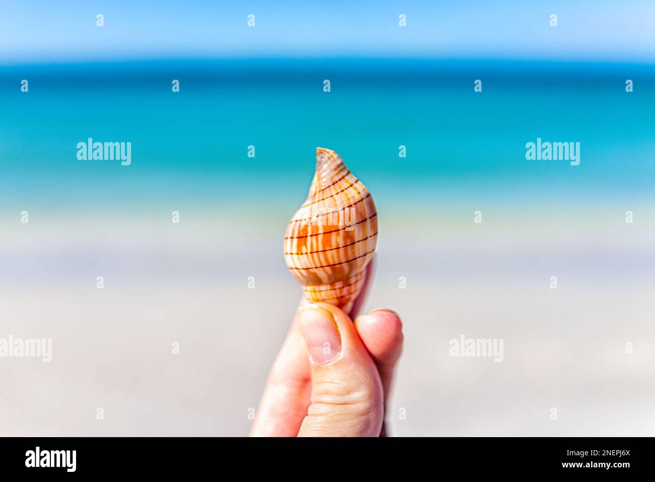 Barefoot beach bonita springs hi-res stock photography and images - Alamy
