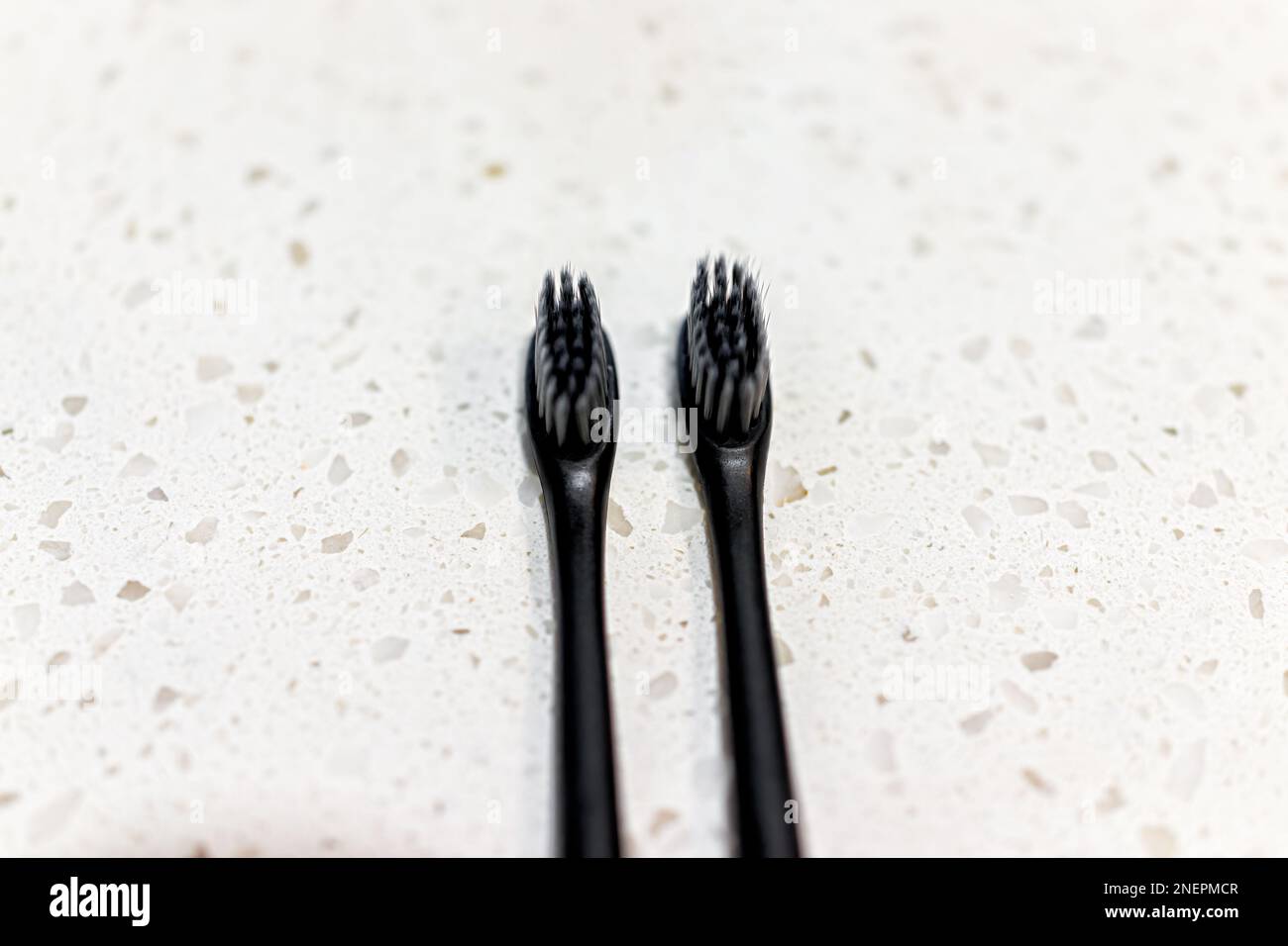 Closeup macro of pair of two toothbrushes in black plastic and bristles ...