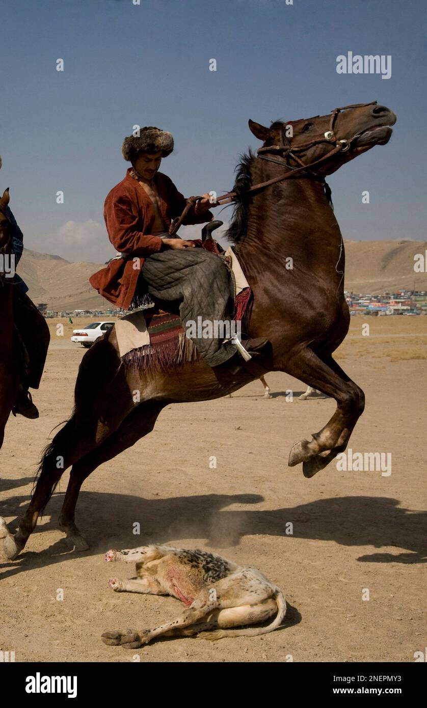 An Afghan buzhkashi player tries to drag a beheaded goat during a game ...