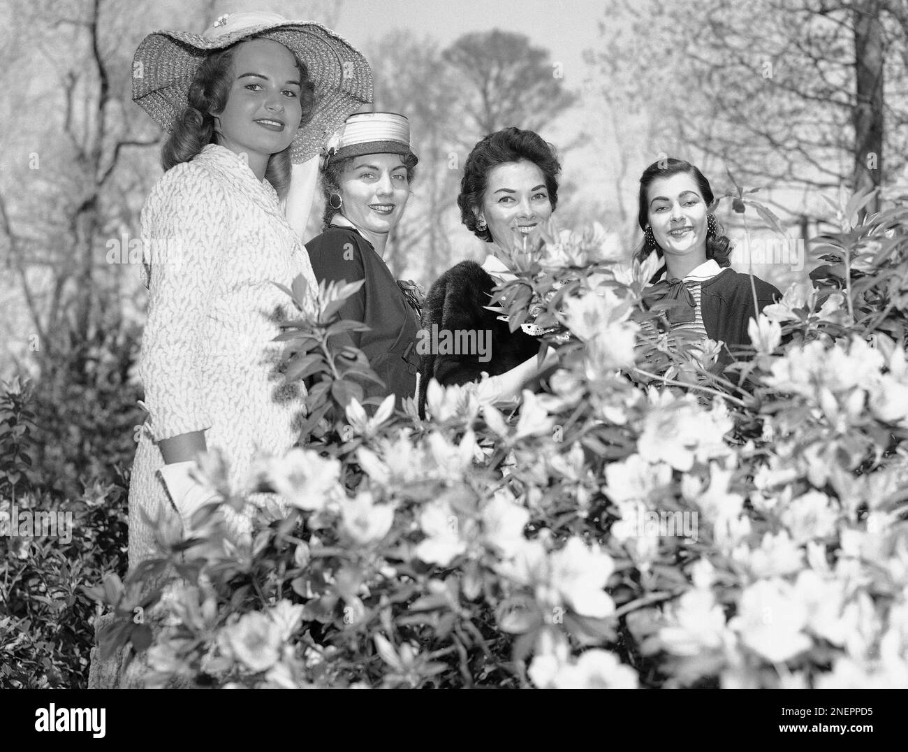 Beauty queens at the Azalea Festival, from left to right are :Robin ...