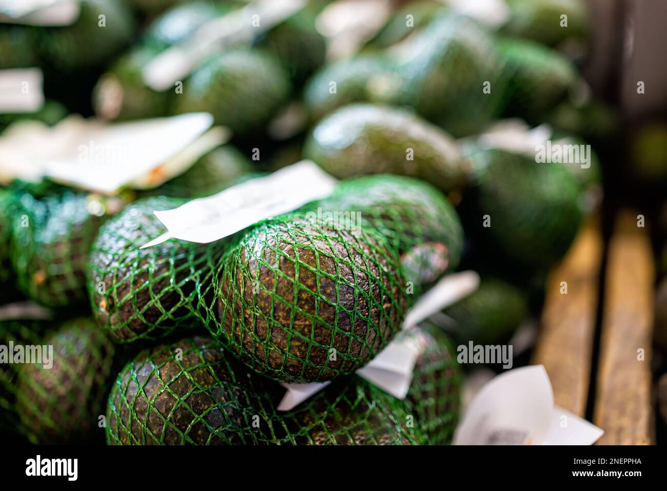 Avocados on grocery produce store shop supermarket display, raw unripe ...