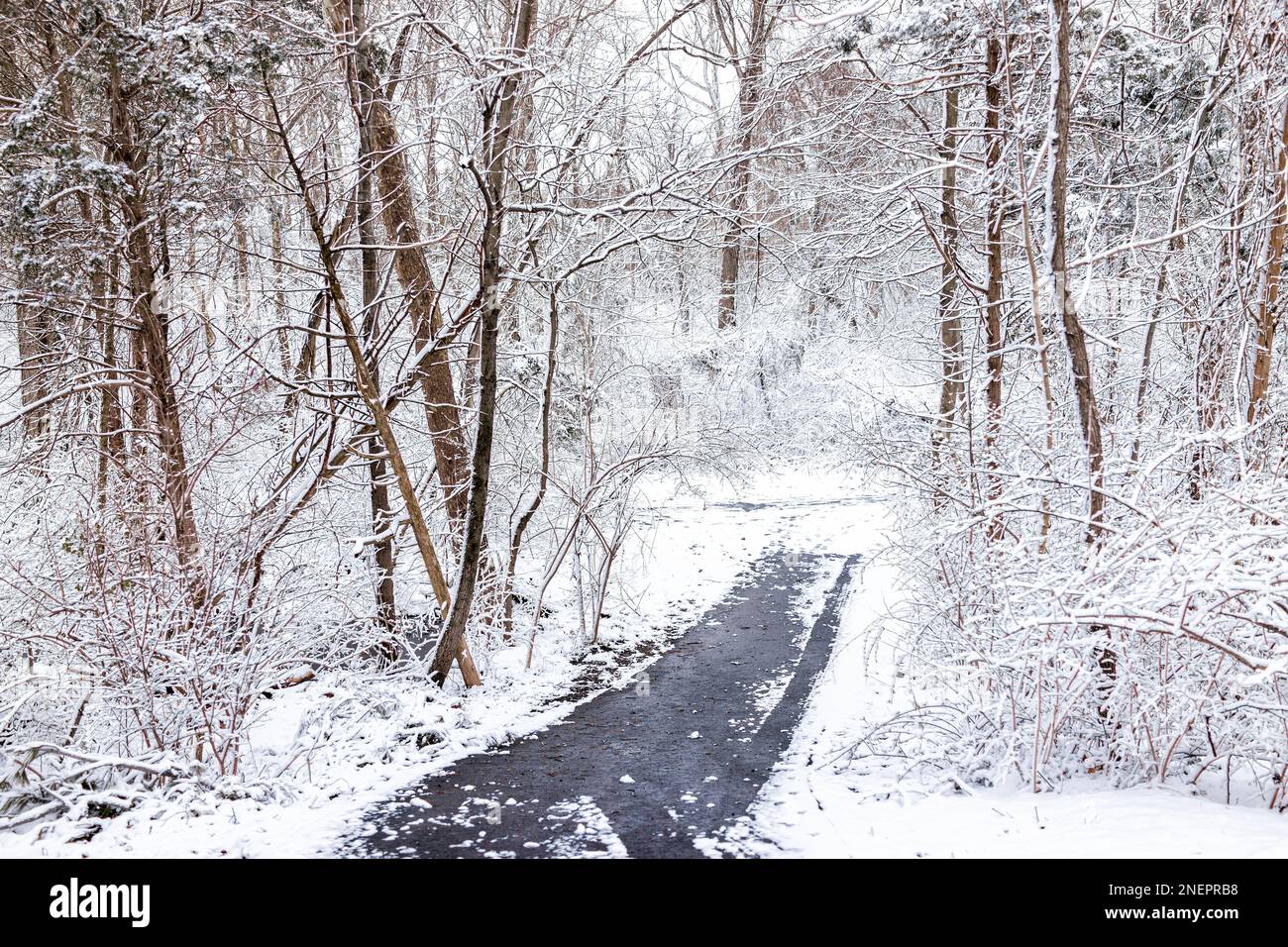 Dc nature hi-res stock photography and images - Alamy