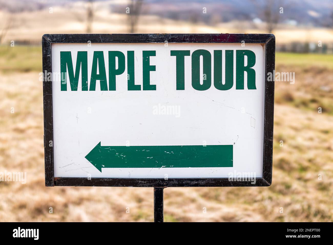 Maple syrup tour generic sign closeup with direction arrow and text in ...