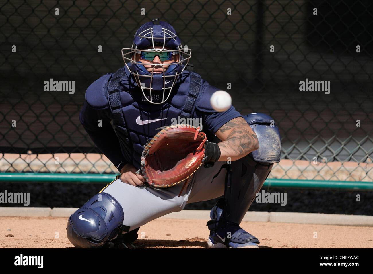 Milwaukee Brewers catcher William Contreras catches during a spring ...