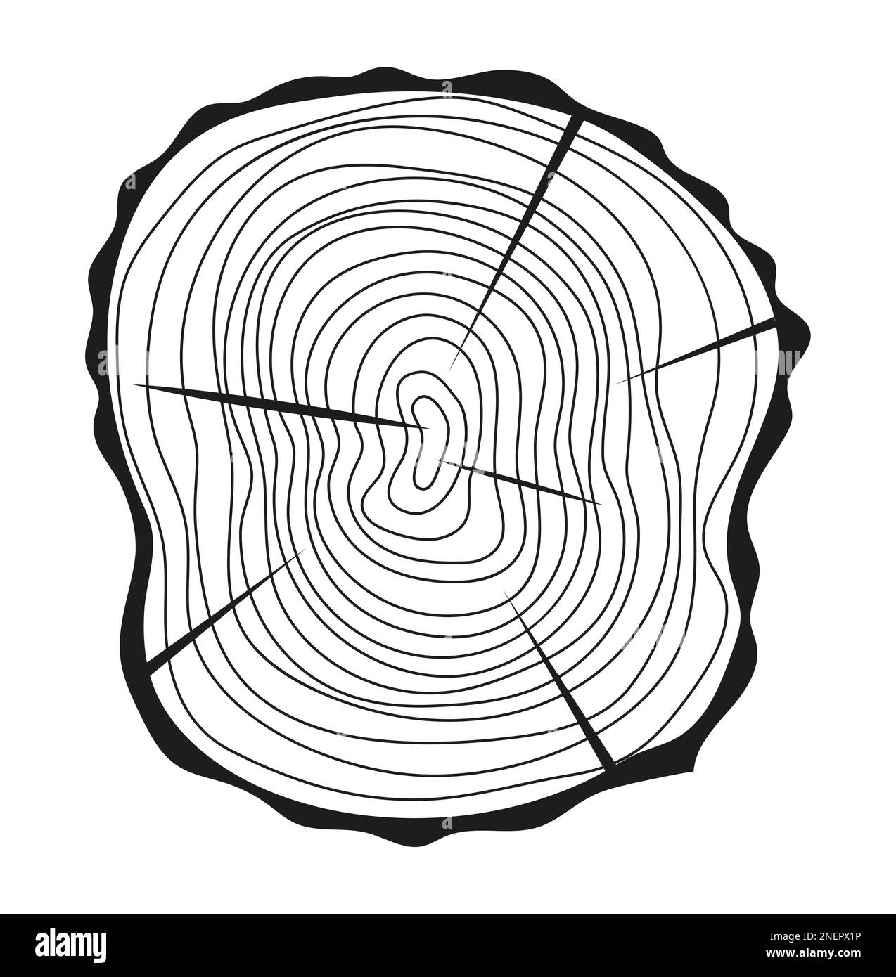 Tree trunk cuts vector in hand drawn sketch. Bark of tree with cracks ... Tree trunk cuts vector in hand drawn sketch. Bark of tree with cracks ...