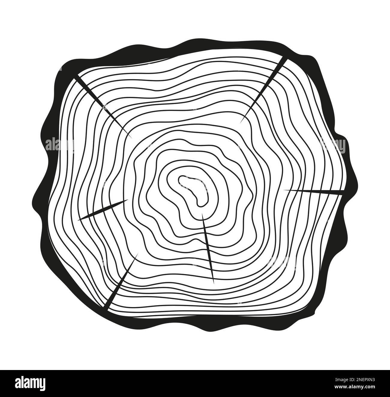 Tree trunk cuts vector in hand drawn sketch. Bark of tree with cracks ...