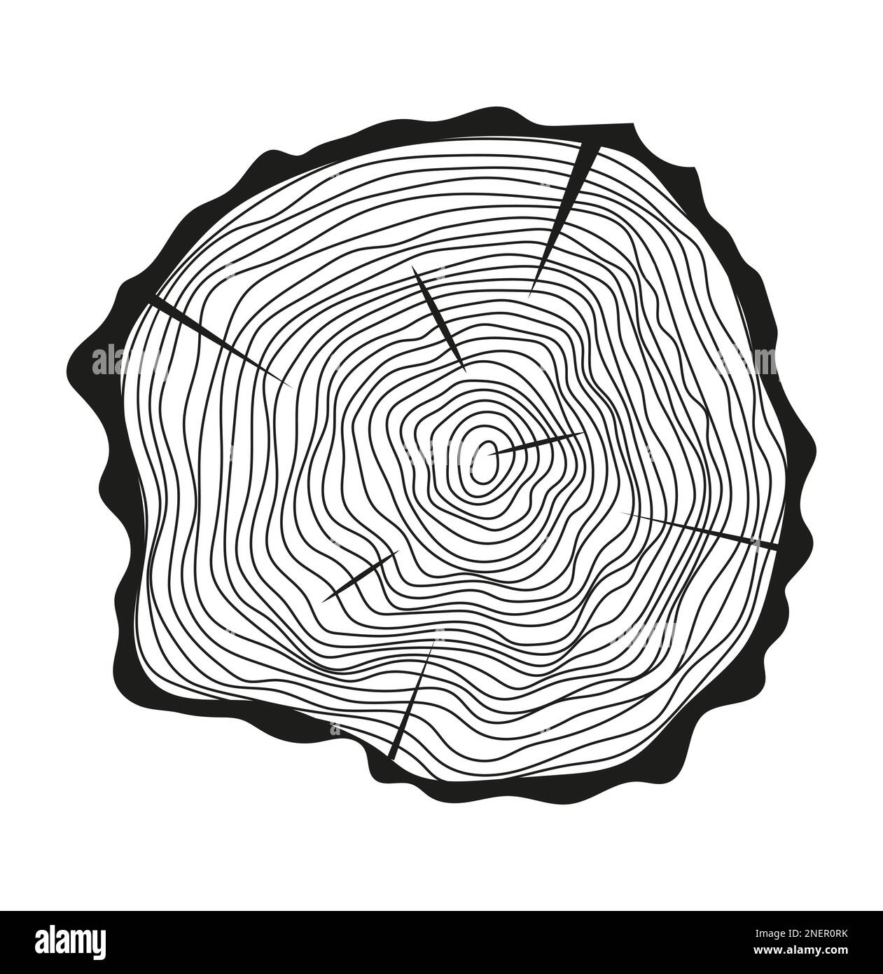 Tree trunk cuts vector in hand drawn sketch. Bark of tree with cracks ...