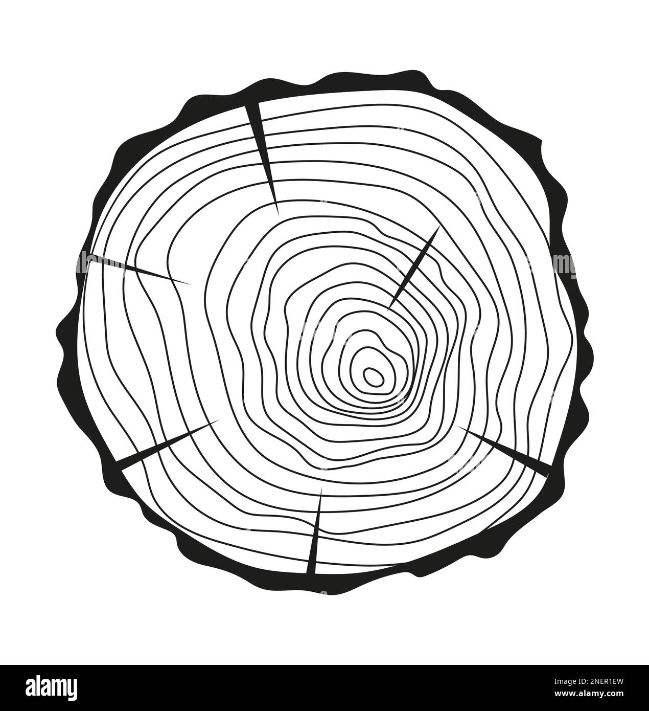Tree trunk cuts vector in hand drawn sketch. Bark of tree with cracks ...
