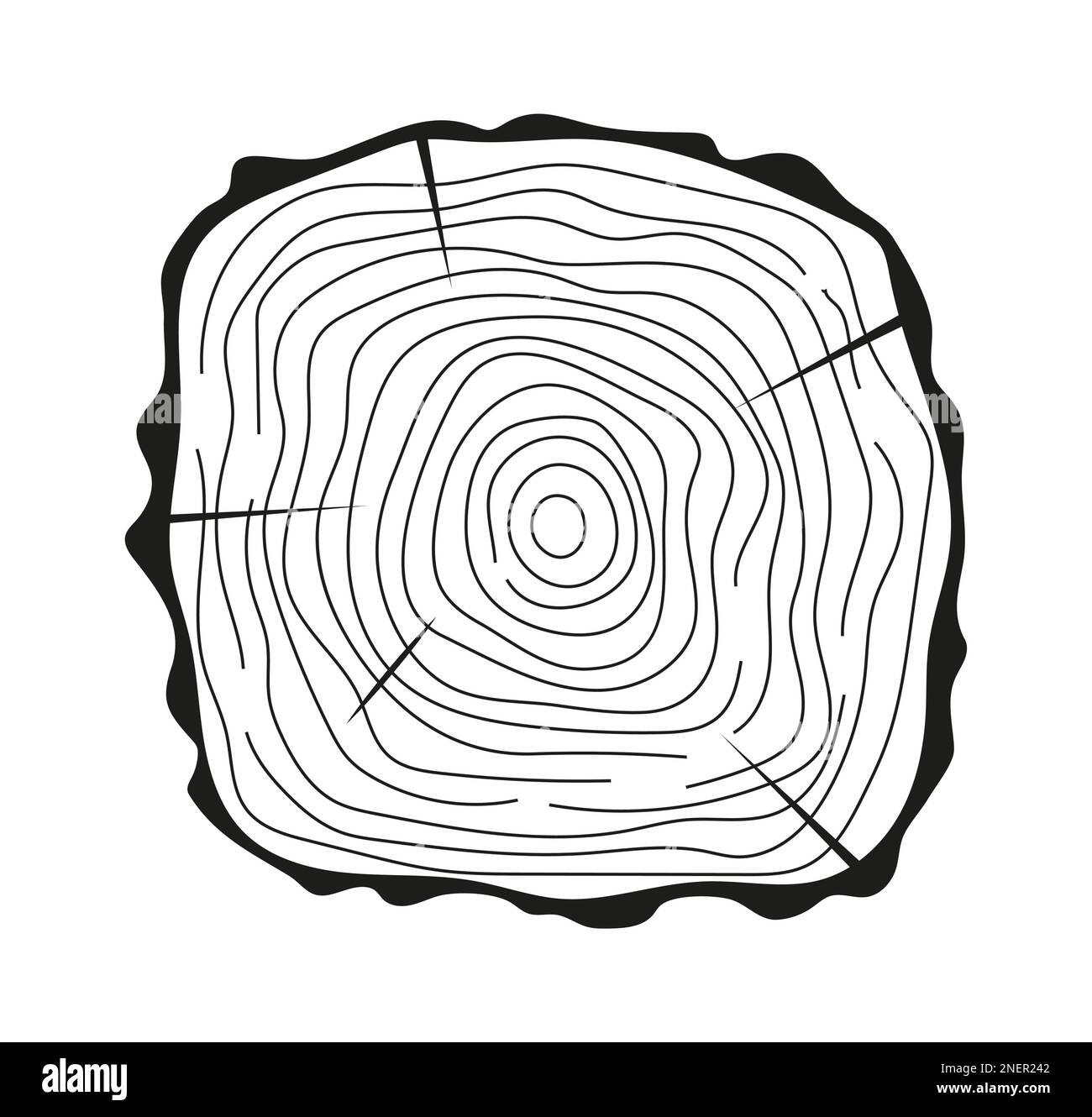 Tree trunk cuts vector in hand drawn sketch. Bark of tree with cracks ...