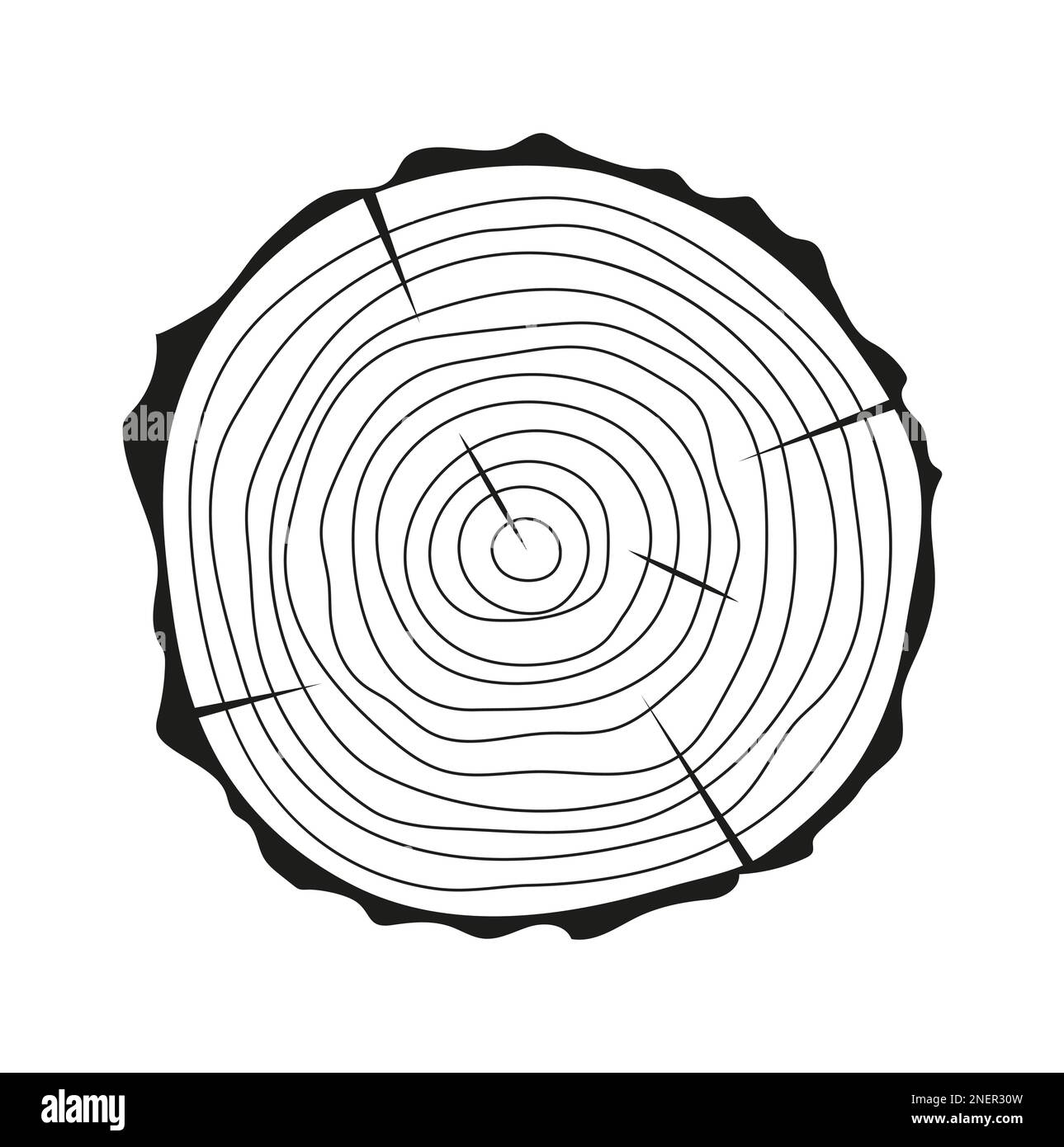 Tree trunk cuts vector in hand drawn sketch. Bark of tree with cracks ...