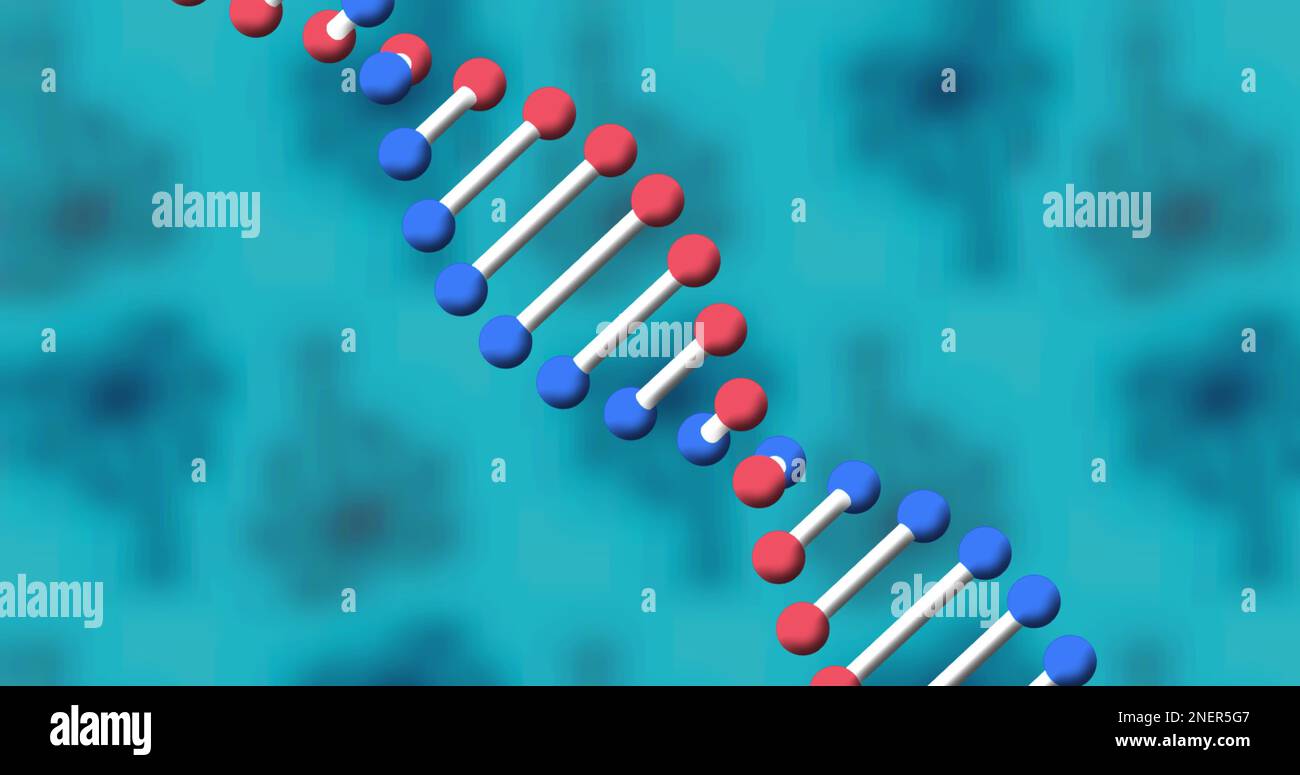Animation spinning dna strand network hi-res stock photography and ...