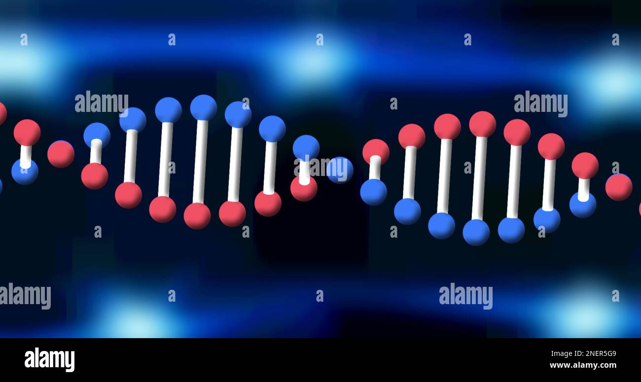 Digital image of dna structure spinning against blue spots of light on ...