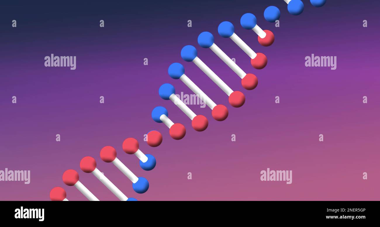 Composition of macro of dna strand on purple background Stock Photo - Alamy