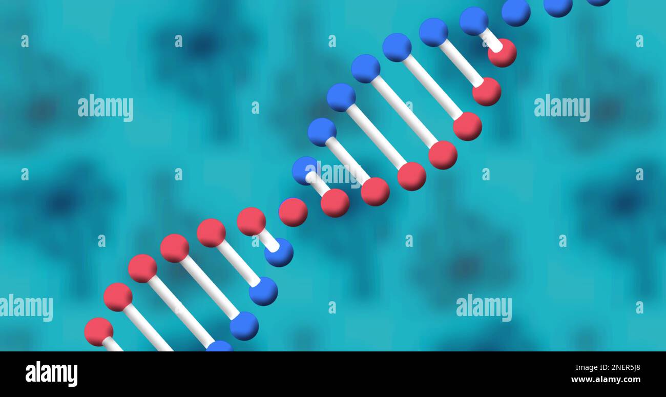 Animation spinning dna strand network hi-res stock photography and ...