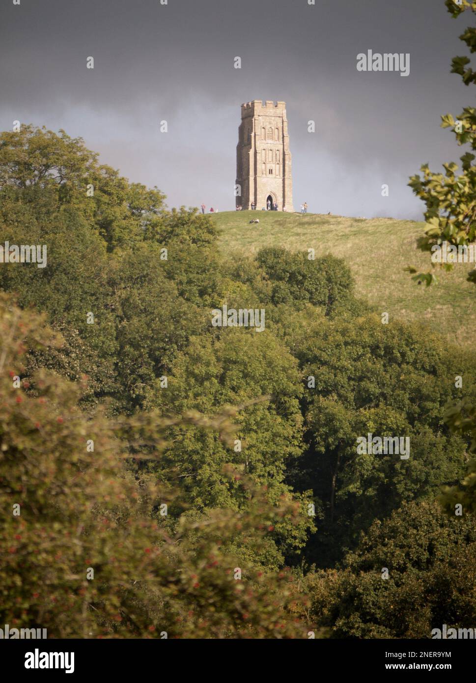 Tor behind trees hi-res stock photography and images - Alamy