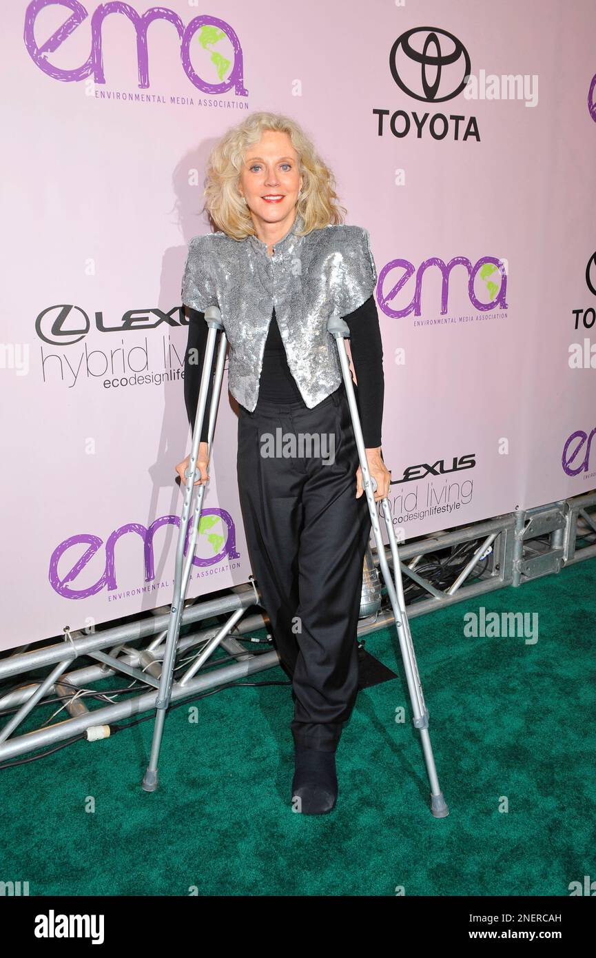 Blythe Danner attends the 20th Anniversary Environmental Media Awards ...