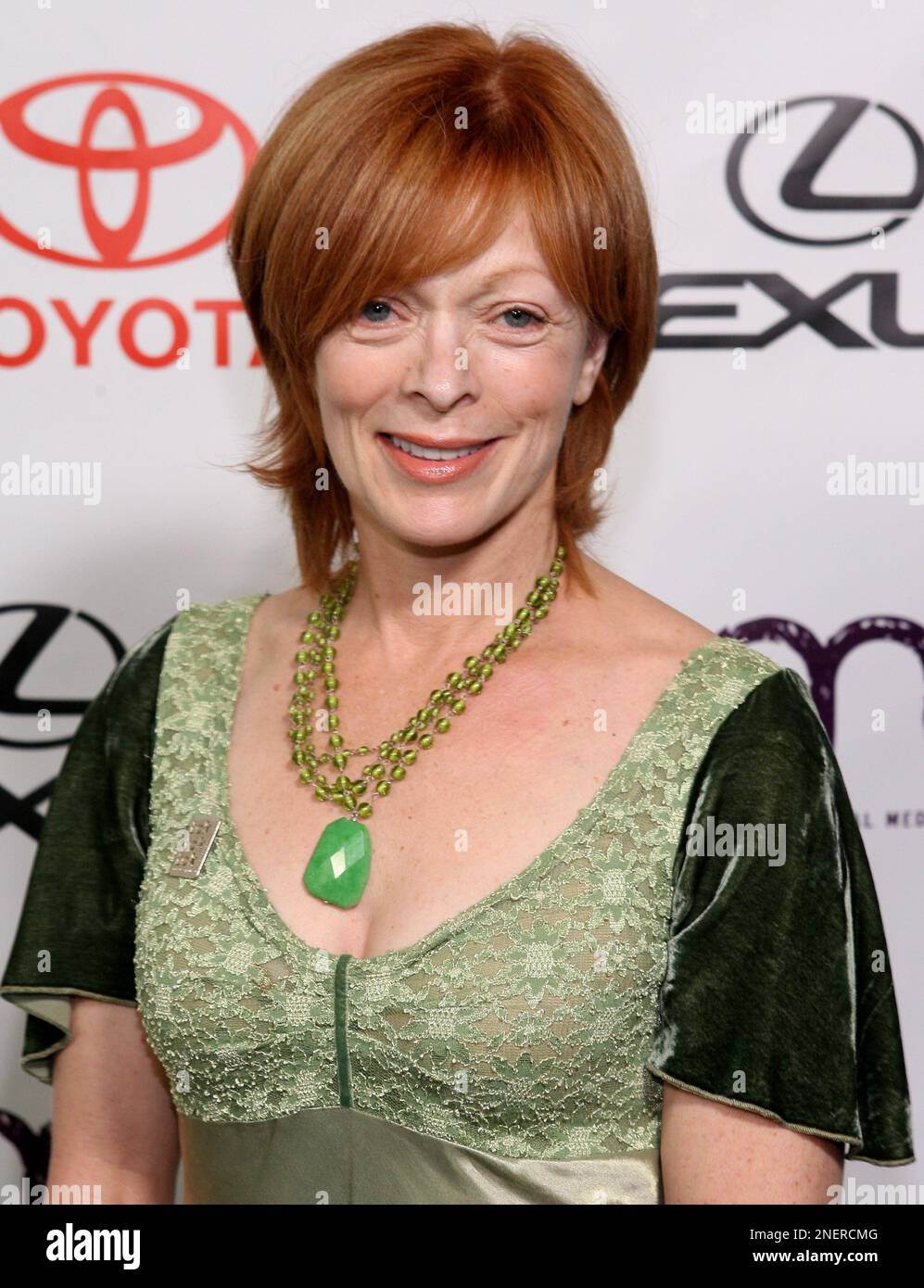 Actress Frances Fisher at the 20th Anniversary Environmental Media ...