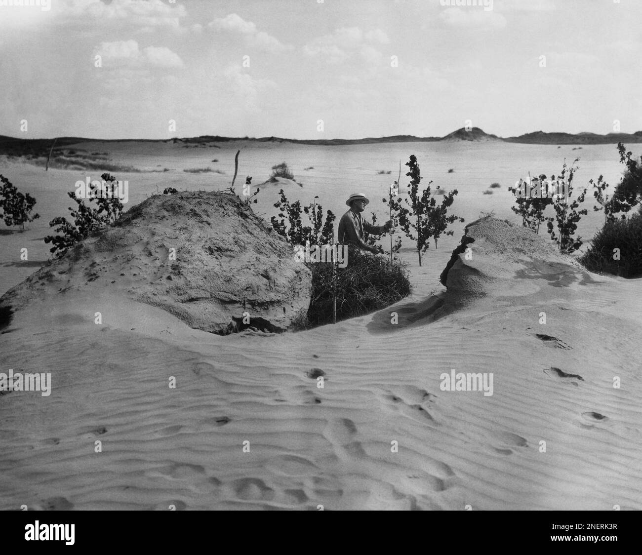 This ?after? picture of the finely tract, July 4, 1944 near Elder, Colo ...