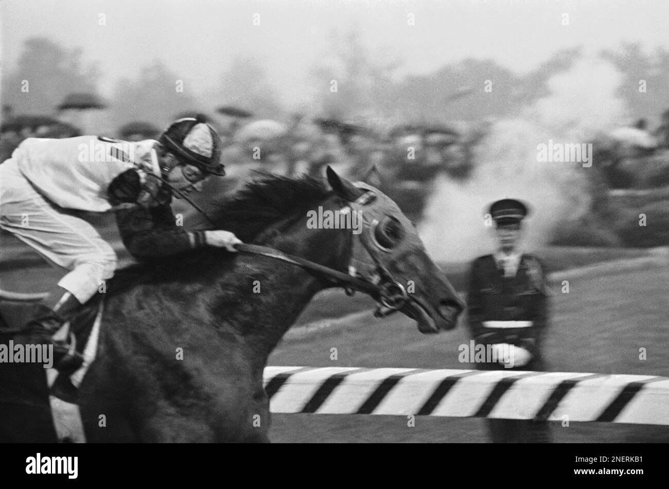 Jockey Bob Ussery and his bay colt Proud Clarion presented this ...