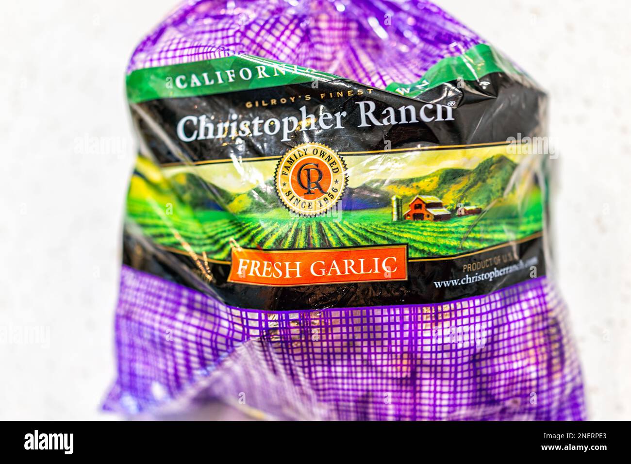 Naples, USA - November 2, 2021: Macro closeup of Christopher Ranch ...