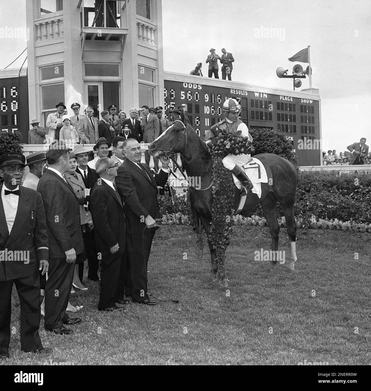 Venetian Way and Jockey Bill Hartack are covered with roses after ...