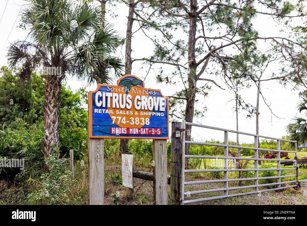 Naples, USA - March 1, 2022: South Naples Citrus Grove farm store ...