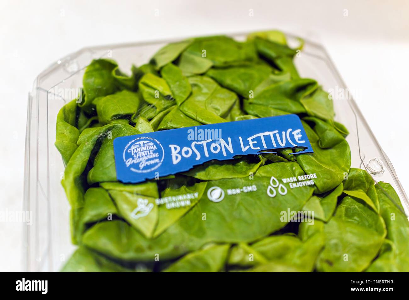 Tanimura antle hi-res stock photography and images - Alamy