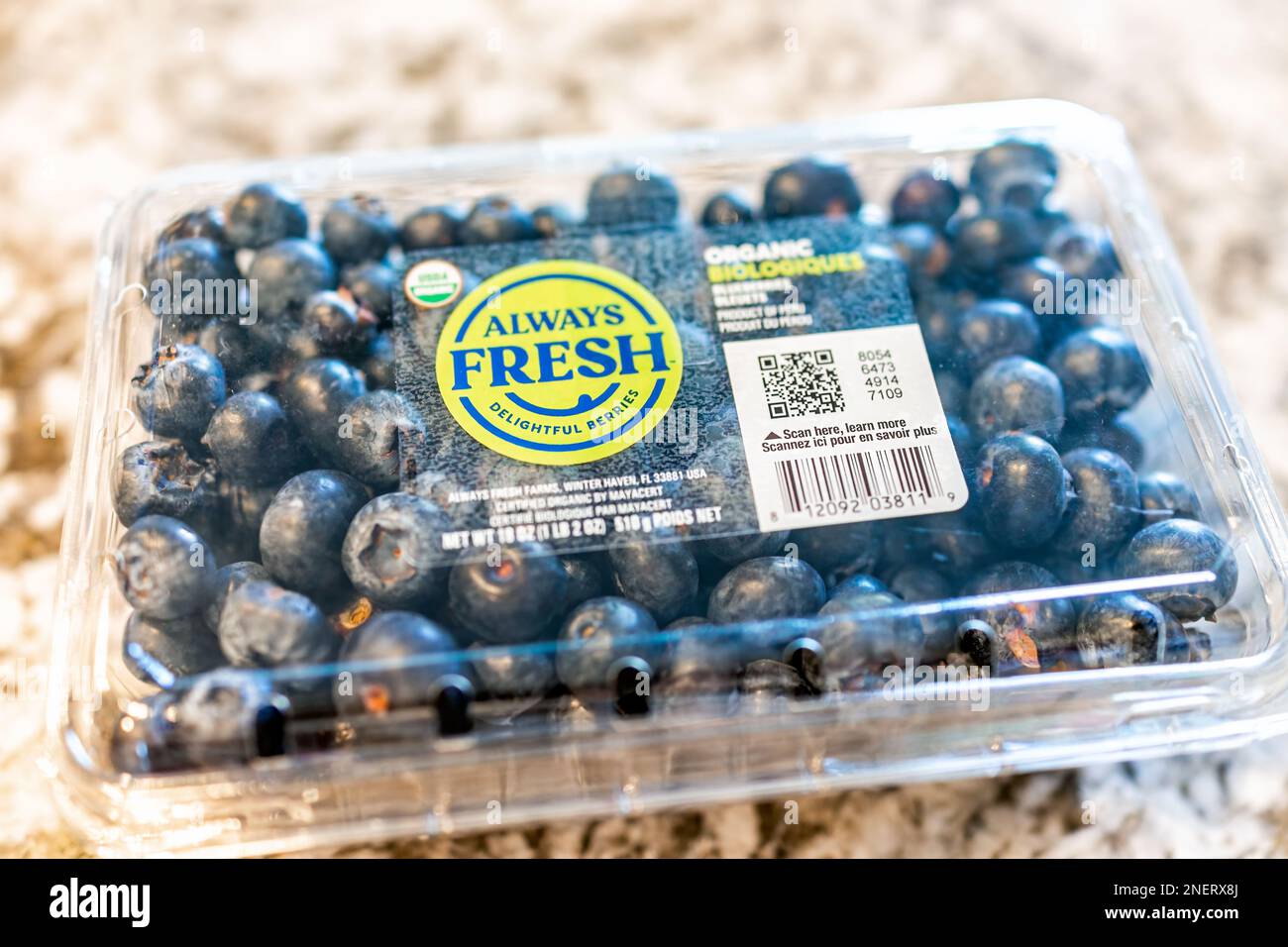 Avon, USA - June 12, 2022: Storebought blue blueberry berrie plastic ...