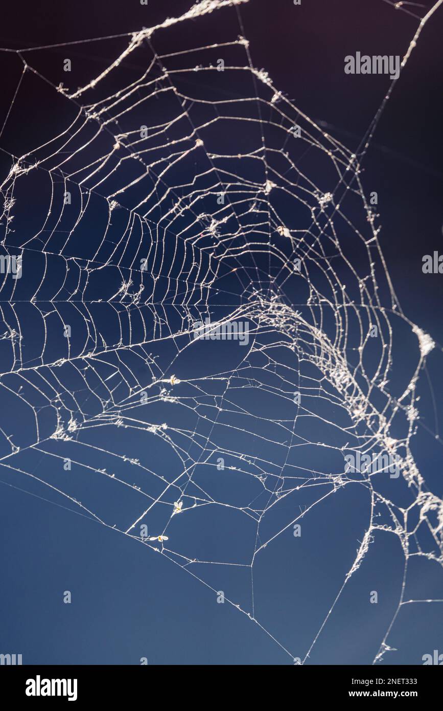 Spiral wheel shaped hi-res stock photography and images - Alamy