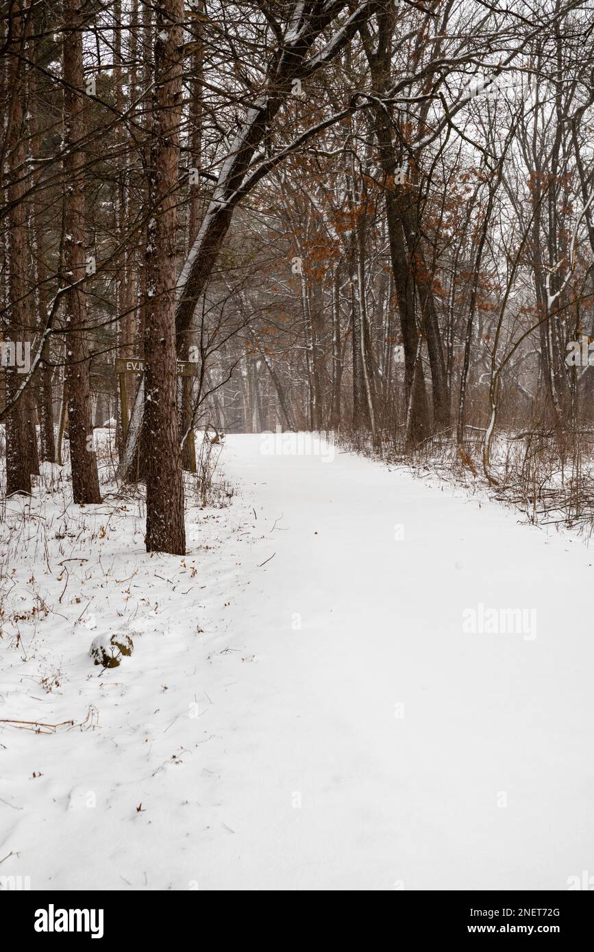 Snow path university hi-res stock photography and images - Alamy