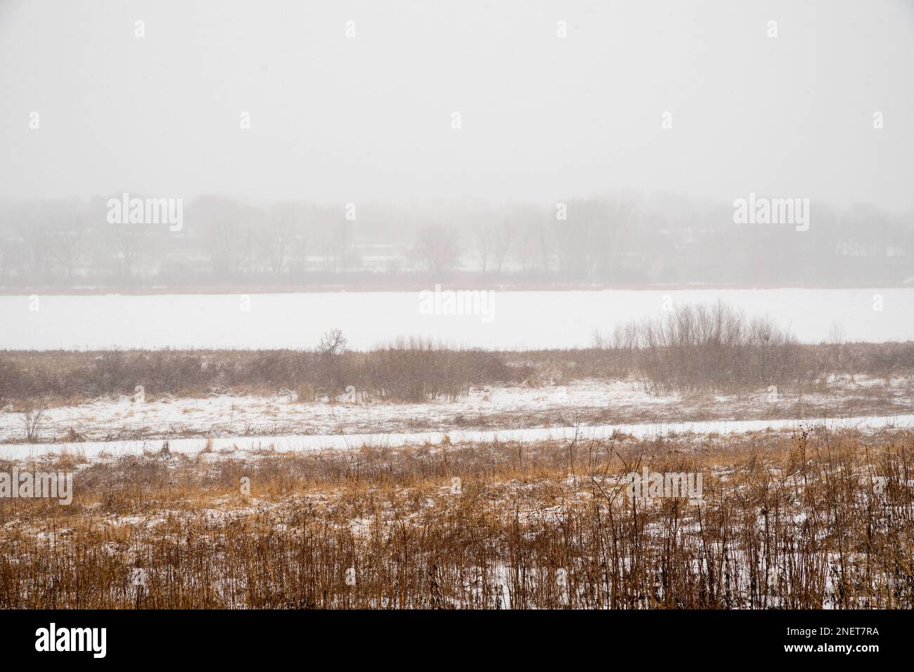 Photograph of the Dawley Conservancy retention pond during a snowstorm ...
