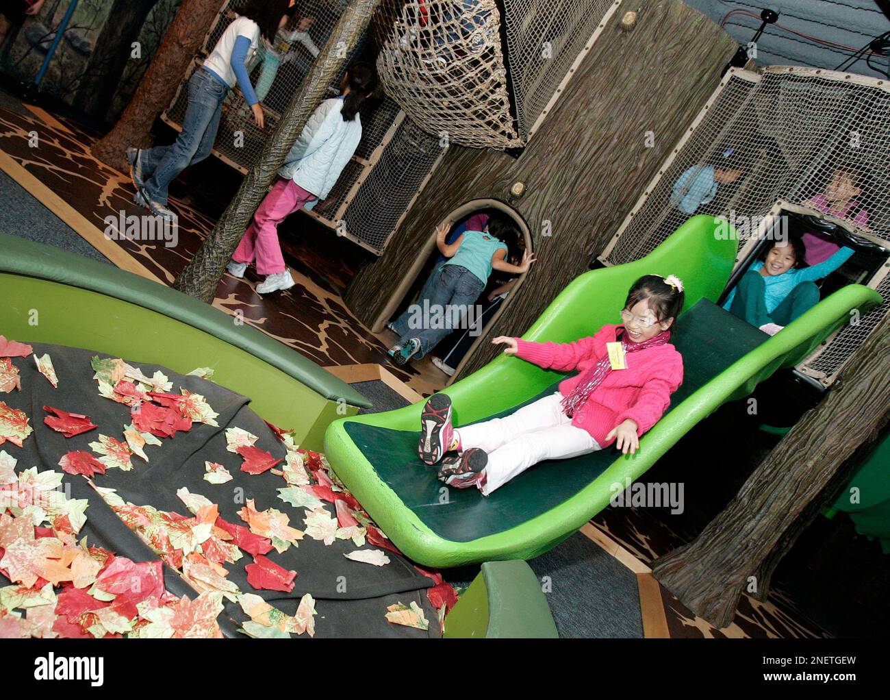 Boston students share in the fun at the debut of "Exploring Trees ...