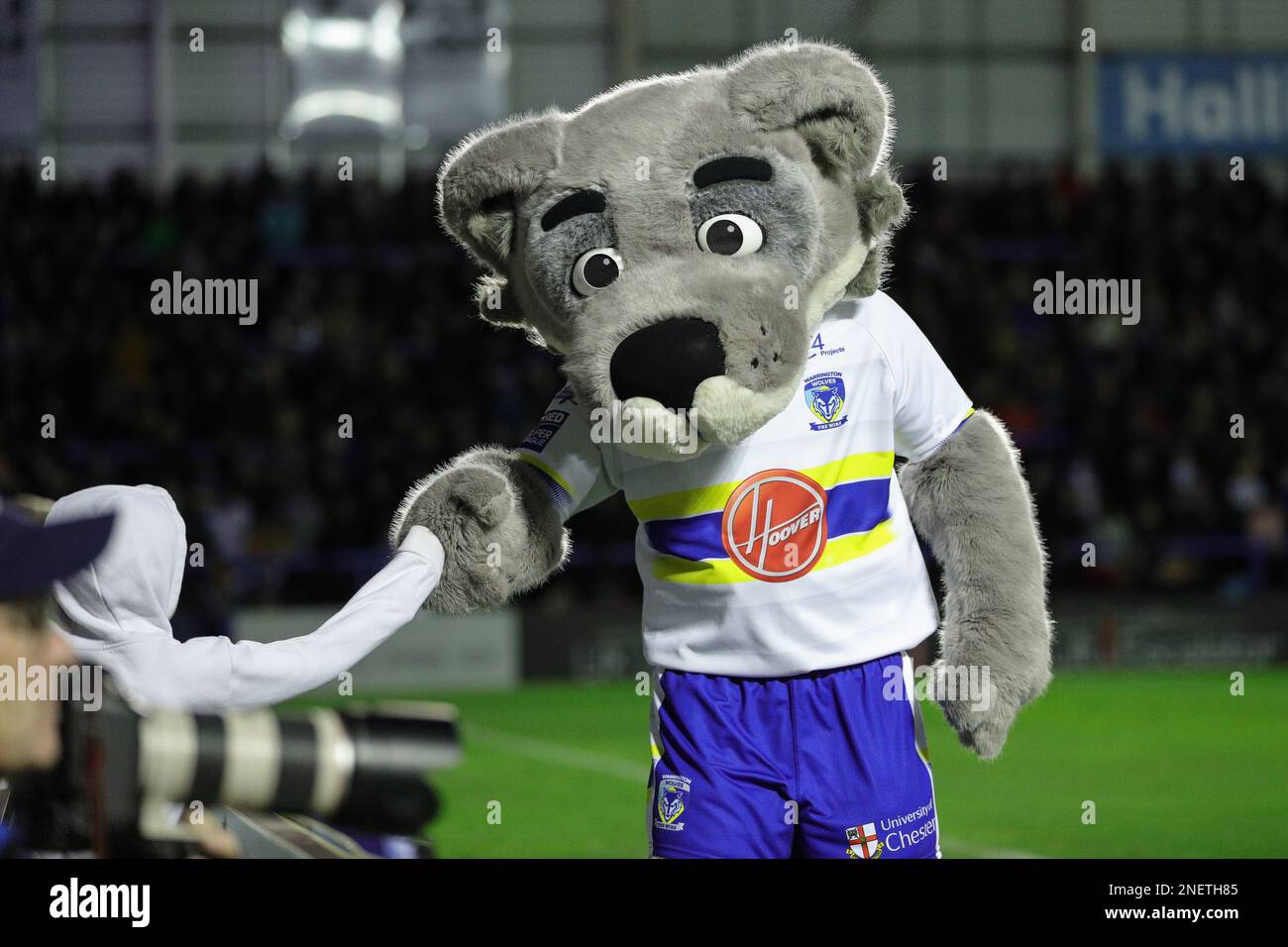 Warrington rugby league mascot hi-res stock photography and images - Alamy