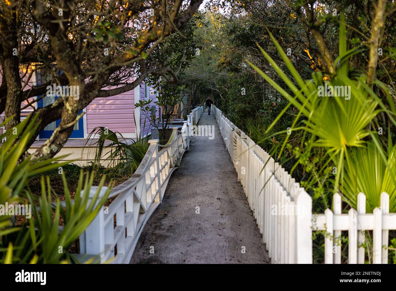 Man walking on narrow pedestrian path alley in Santa Rosa Beach ...