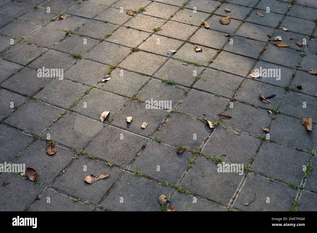 The squares block of tile walkway Stock Photo - Alamy