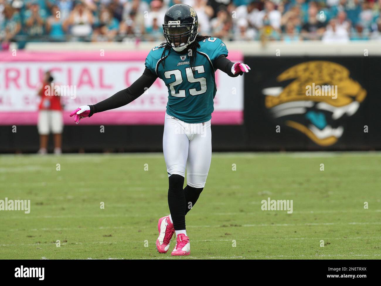 Jacksonville Jaguars safety Reggie Nelson during an NFL football game ...