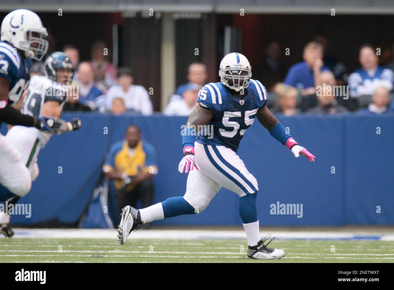 Indianapolis Colts linebacker Clint Session in action while playing the ...